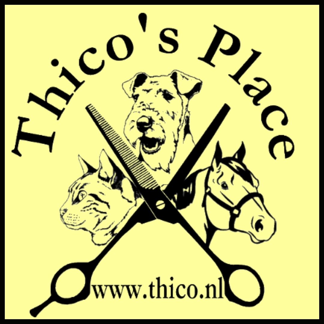 Thico's Place